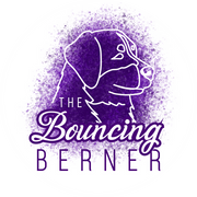 The Bouncing Berner